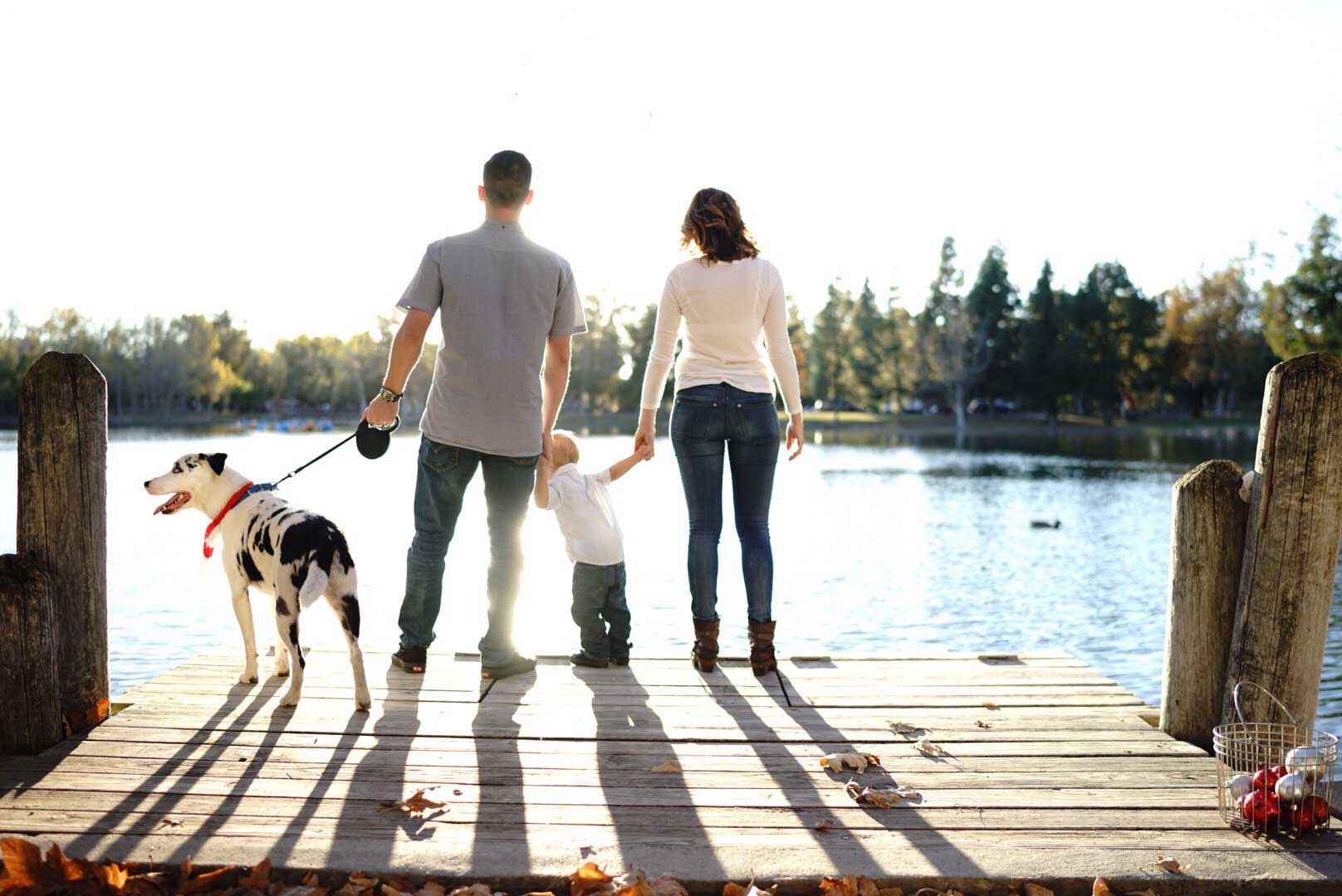 Sustainable Wealth Management: Strategies for Long-Term Legacy Preservation